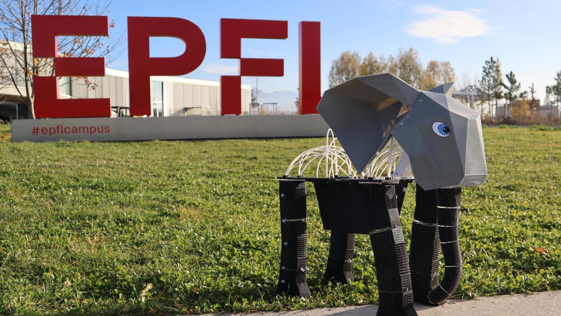 Robot éléphant en 3D : avancée bio-inspirée de l'EPFL - La Télé